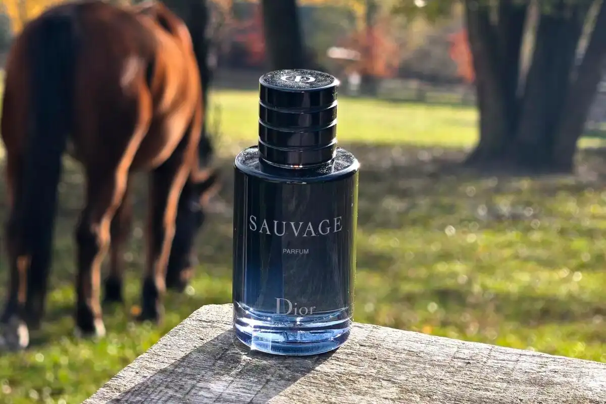 Top Các Bản Clone Giá Rẻ Của Nước Hoa Dior Sauvage 2025 - MC Perfume & Diamond: Công Ty Nhập ...