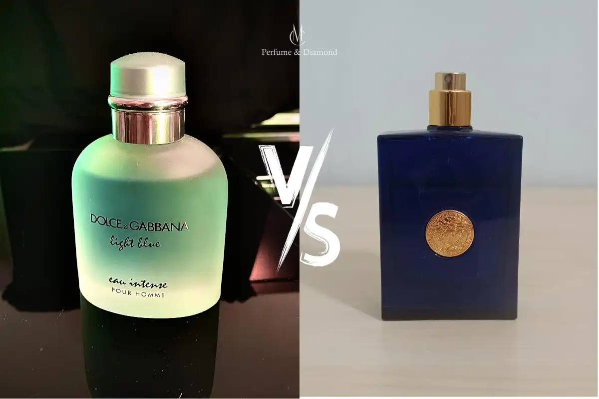 Dolce & Gabbana Light Blue Eau Intense Pour Homme vs. Versace Pour ...