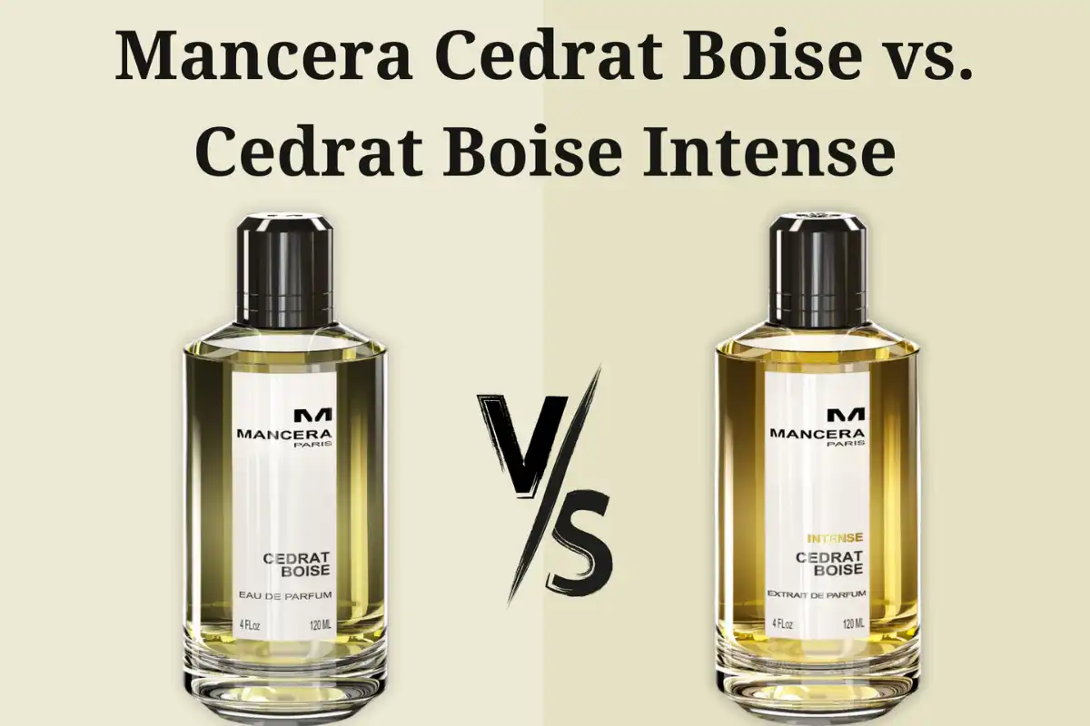 Mancera Cedrat Boise vs Cedrat Boise Intense - So Sánh 2 Mùi Hương Niche Tươi Mát - MC Perfume ...