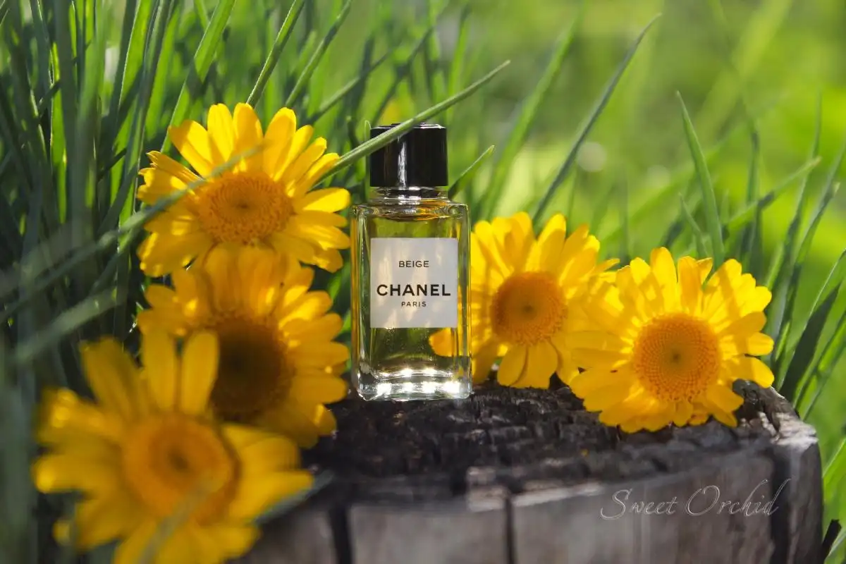 Review Chanel Beige - MC Perfume & Diamond: Công Ty Nhập Khẩu Và Cung ...