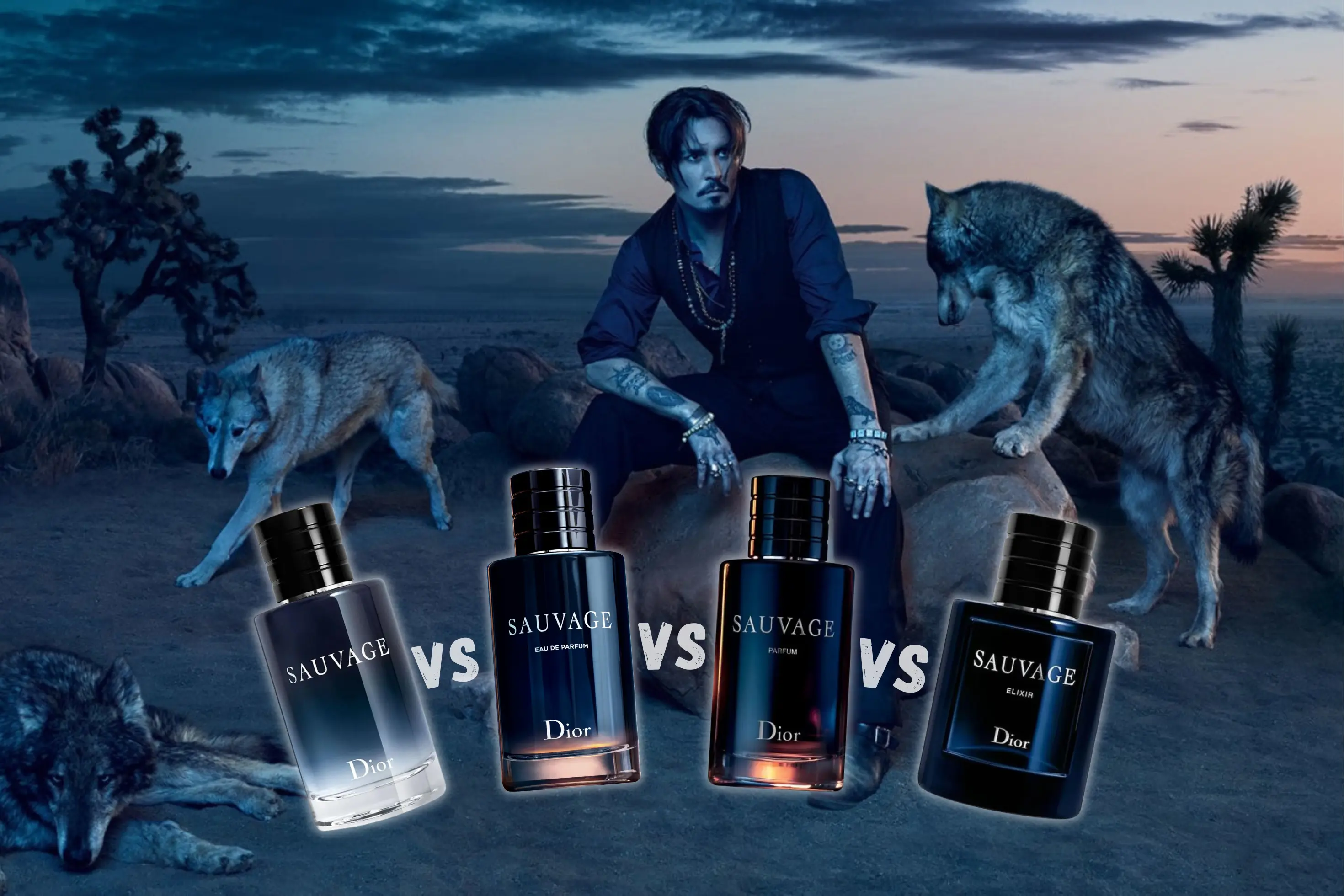 So Sánh 4 Dòng Nước Hoa Dior Sauvage EDT, EDP, Parfum, Elixir - Lựa ...