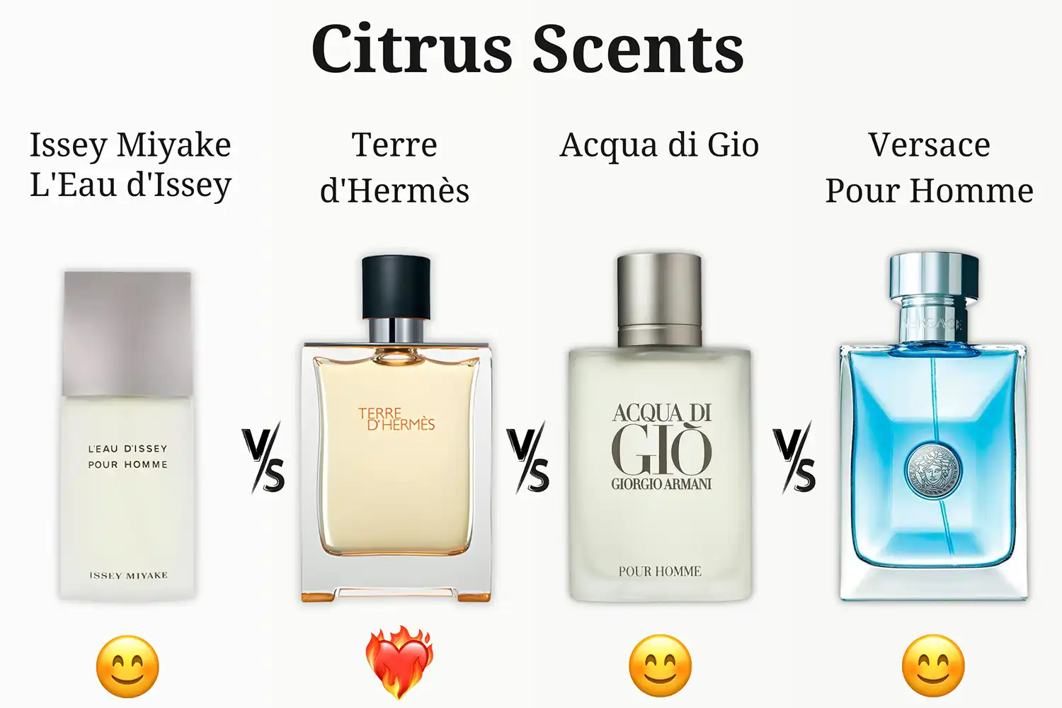 Citrus Scents - Issey Miyake L'Eau d'Issey, Terre d'Hermès, Acqua di Gio vs Versace Pour Homme ...