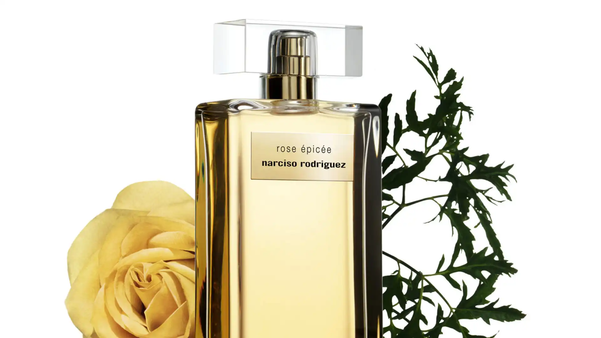 Narciso Rodriguez Rose Épicée (2024) EDP Intense - MC Perfume & Diamond ...
