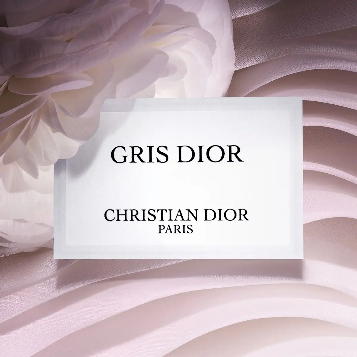 Dior Gris Dior EDP - MC Perfume & Diamond: Công Ty Nhập Khẩu Và Cung ...