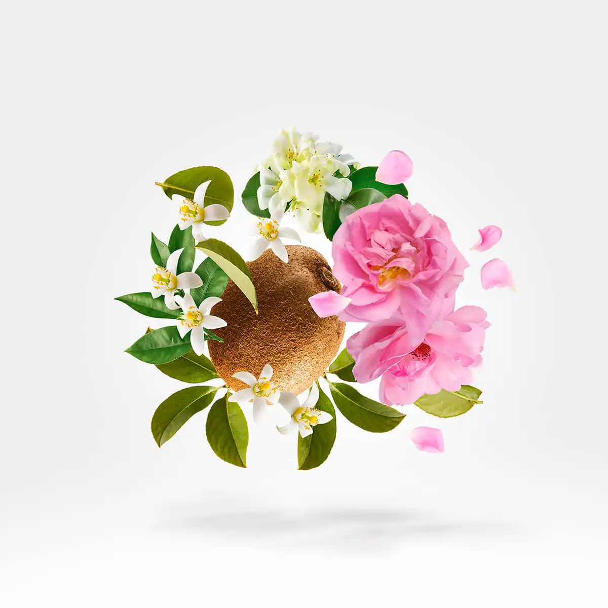 Xerjoff Oesel Parfum - MC Perfume & Diamond: Công Ty Nhập Khẩu Và Cung ...