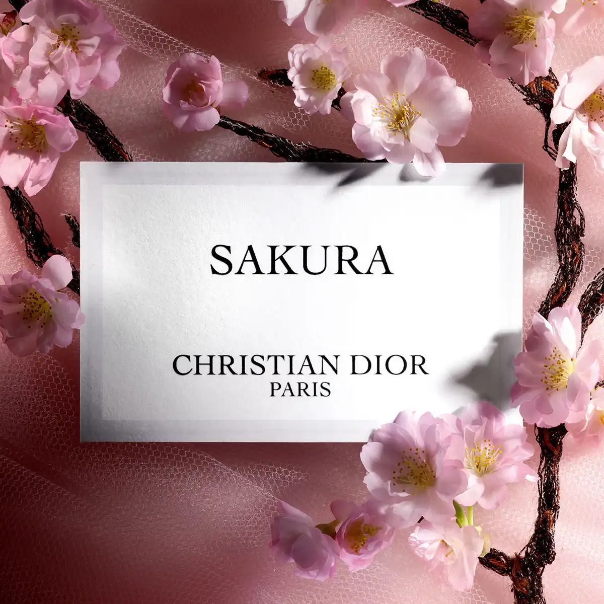 Dior Sakura EDP - MC Perfume & Diamond: Công Ty Nhập Khẩu Và Cung Cấp ...