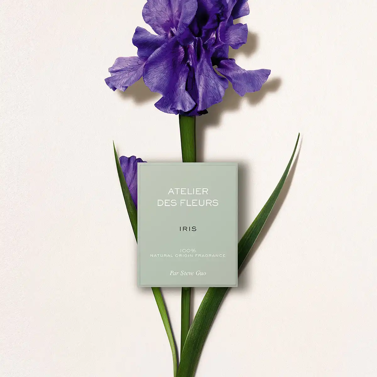 Chloe Iris EDP - MC Perfume & Diamond: Công Ty Nhập Khẩu Và Cung Cấp Sỉ ...