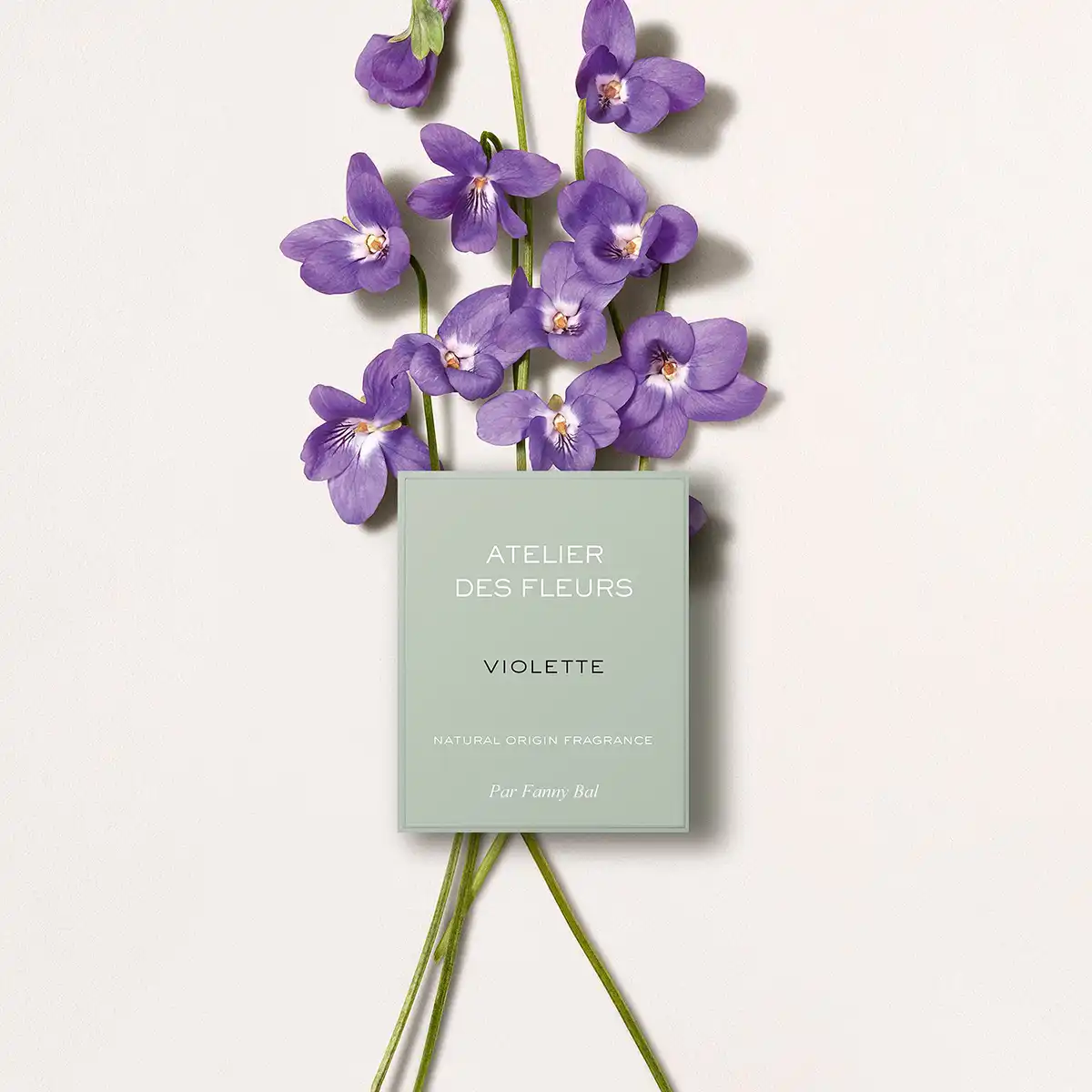 Chloe Violette (2022) EDP - MC Perfume & Diamond: Công Ty Nhập Khẩu Và Cung Cấp Sỉ Nước Hoa Pháp ...