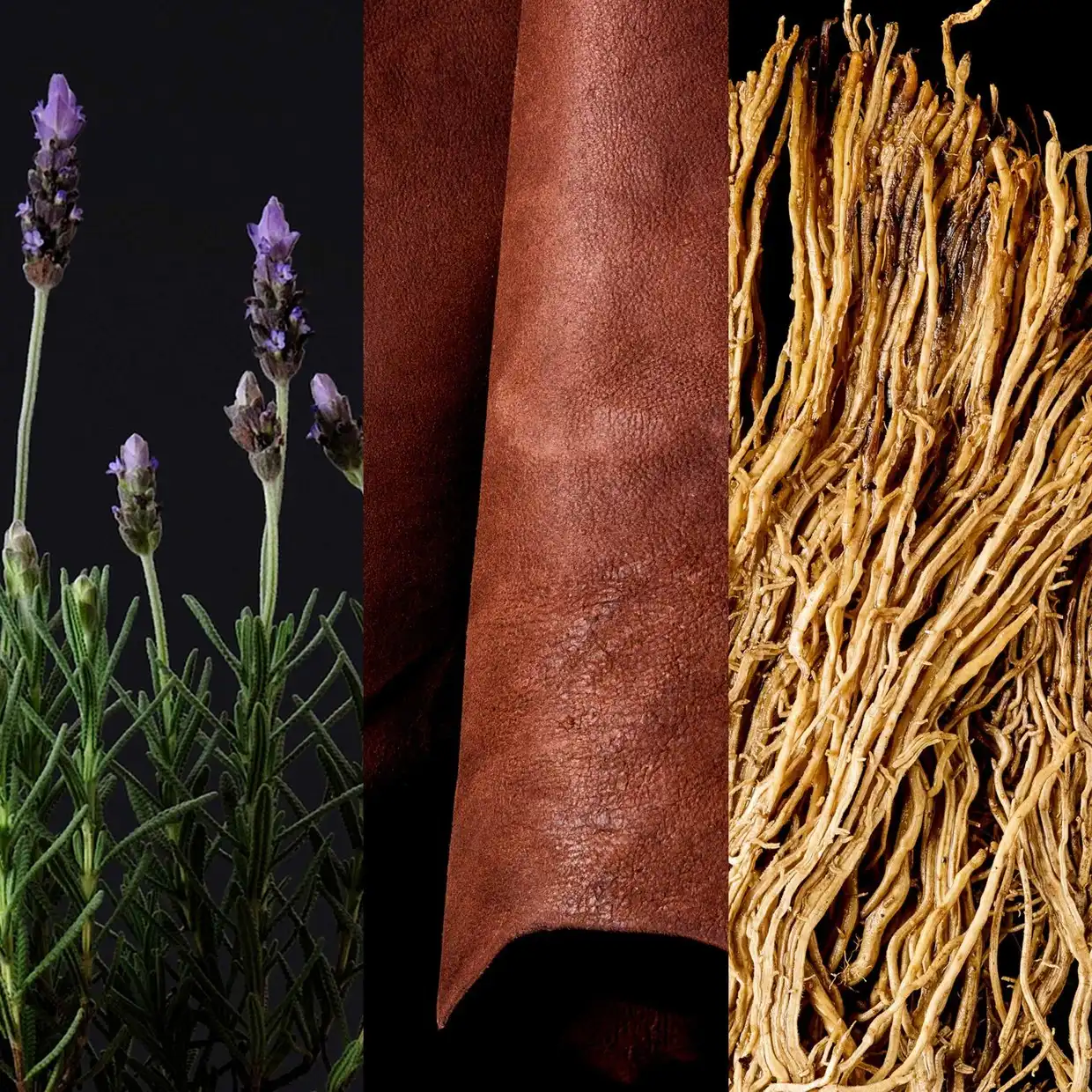 Carolina Herrera 212 VIP Black MTV (2024) EDP - MC Perfume & Diamond ...